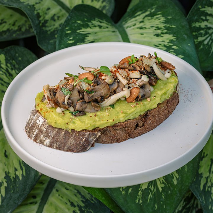 Home - The Avocado Factory